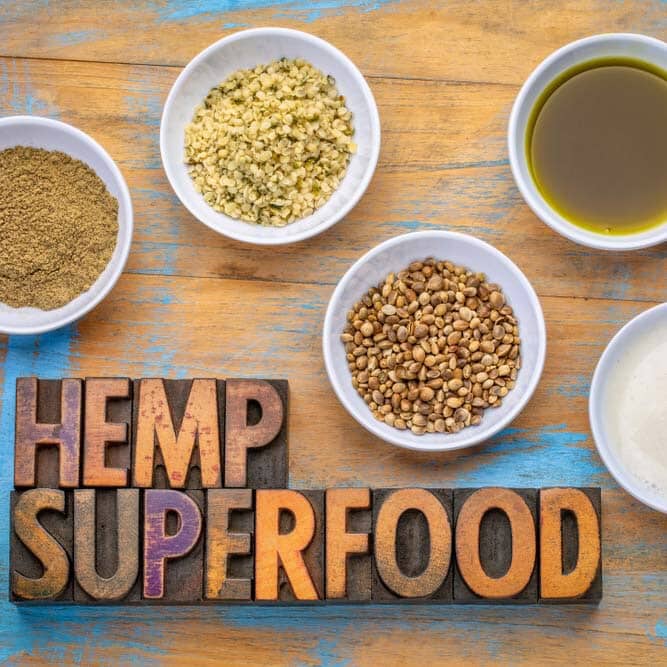 Origin and Evolution of Hemp Foods – MerkabaNZ